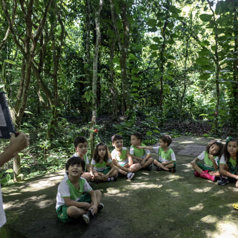 Strategies for Engaging Sustainability Lessons in the English Classroom ...